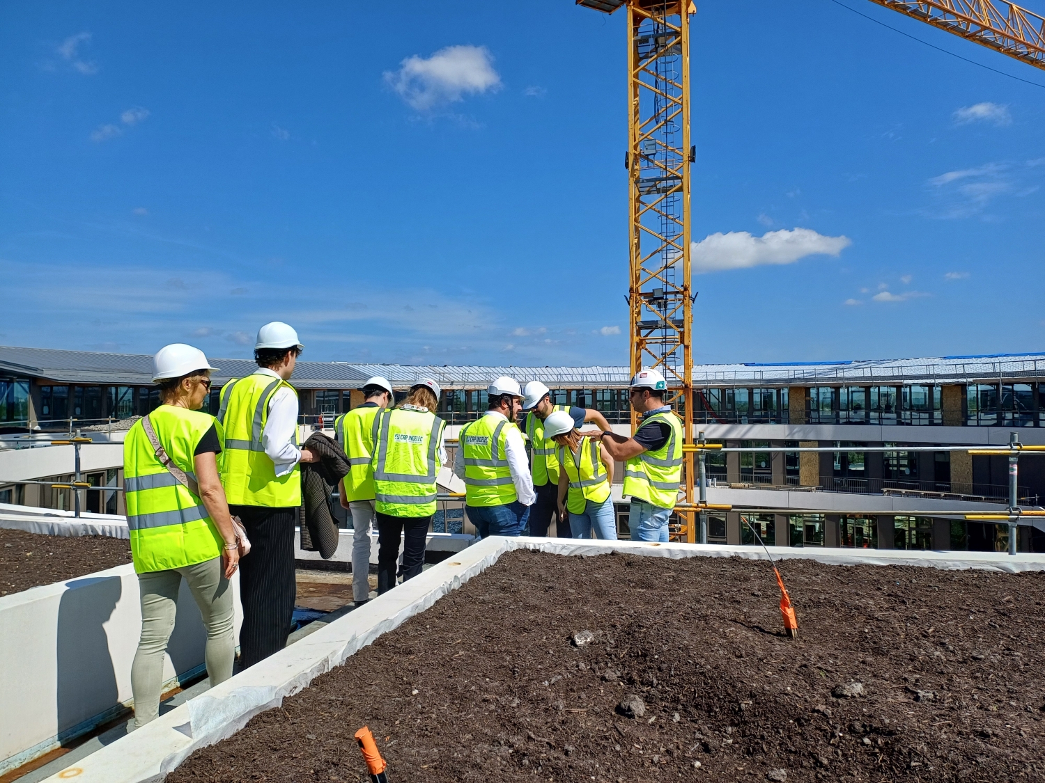 OUR CORPORATE TEAMS VISIT THE FIELD - CapIngelec
